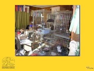 ICAWC 2015 - Ins and outs of homing cats - David Newall | PPTX