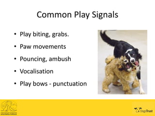 ICAWC 2015 - The Power of Play - Alasdair Bunyan | PDF | Roleplaying ...