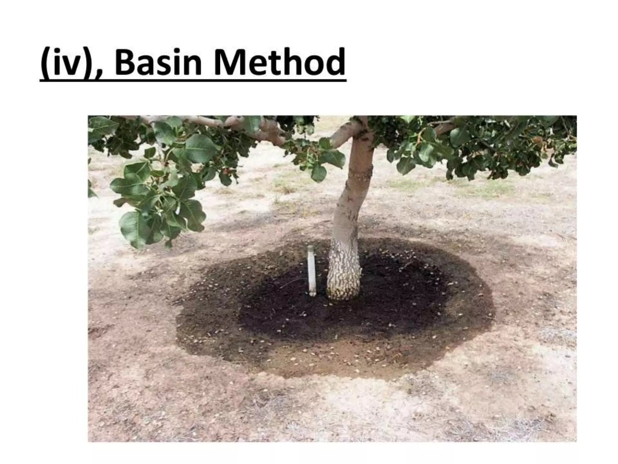 3. surface irrigation and methods basin irrigation A Lecture By Mr ...