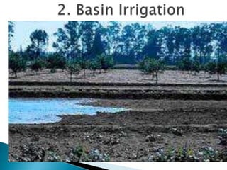 3. surface irrigation and methods basin irrigation A Lecture By Mr ...