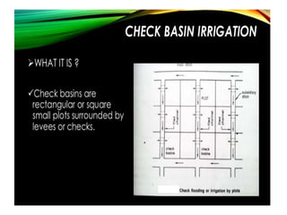 3. surface irrigation and methods basin irrigation A Lecture By Mr ...