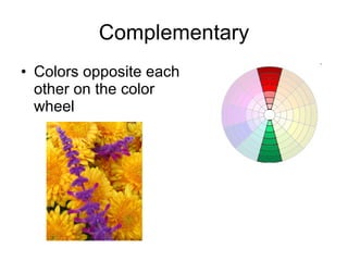 3 15 End Of Color | PPT