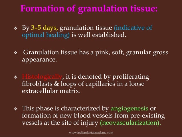 wound healing/cosmetic dentistry courses