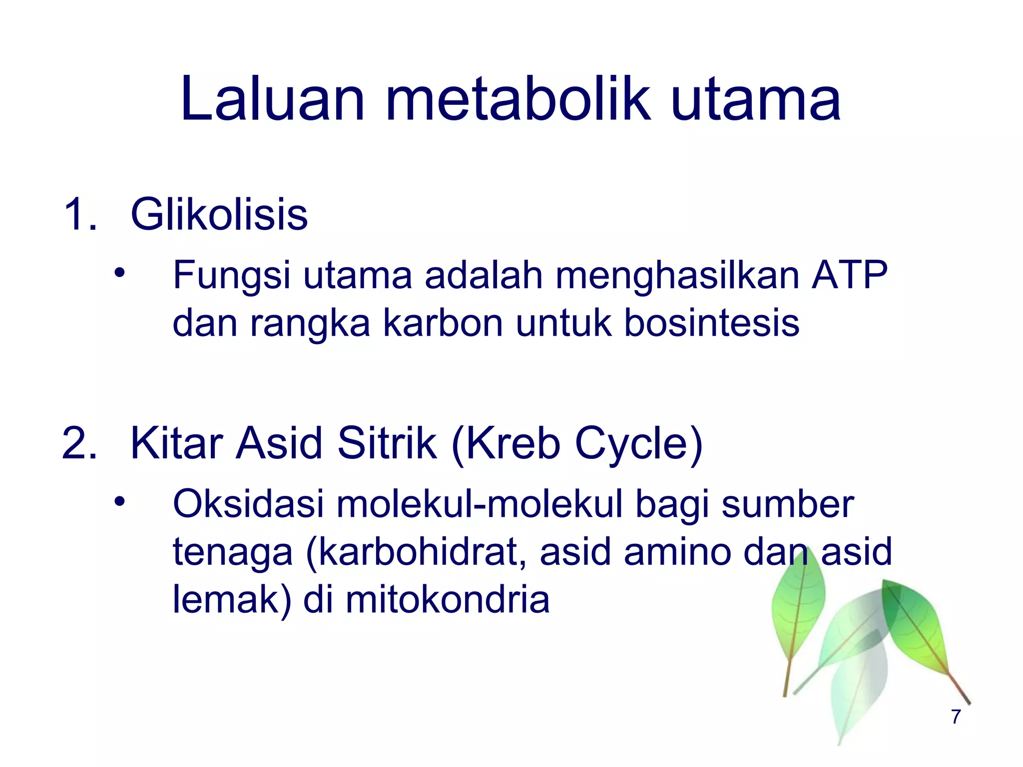 3.5. integrasi metabolisme | PPT
