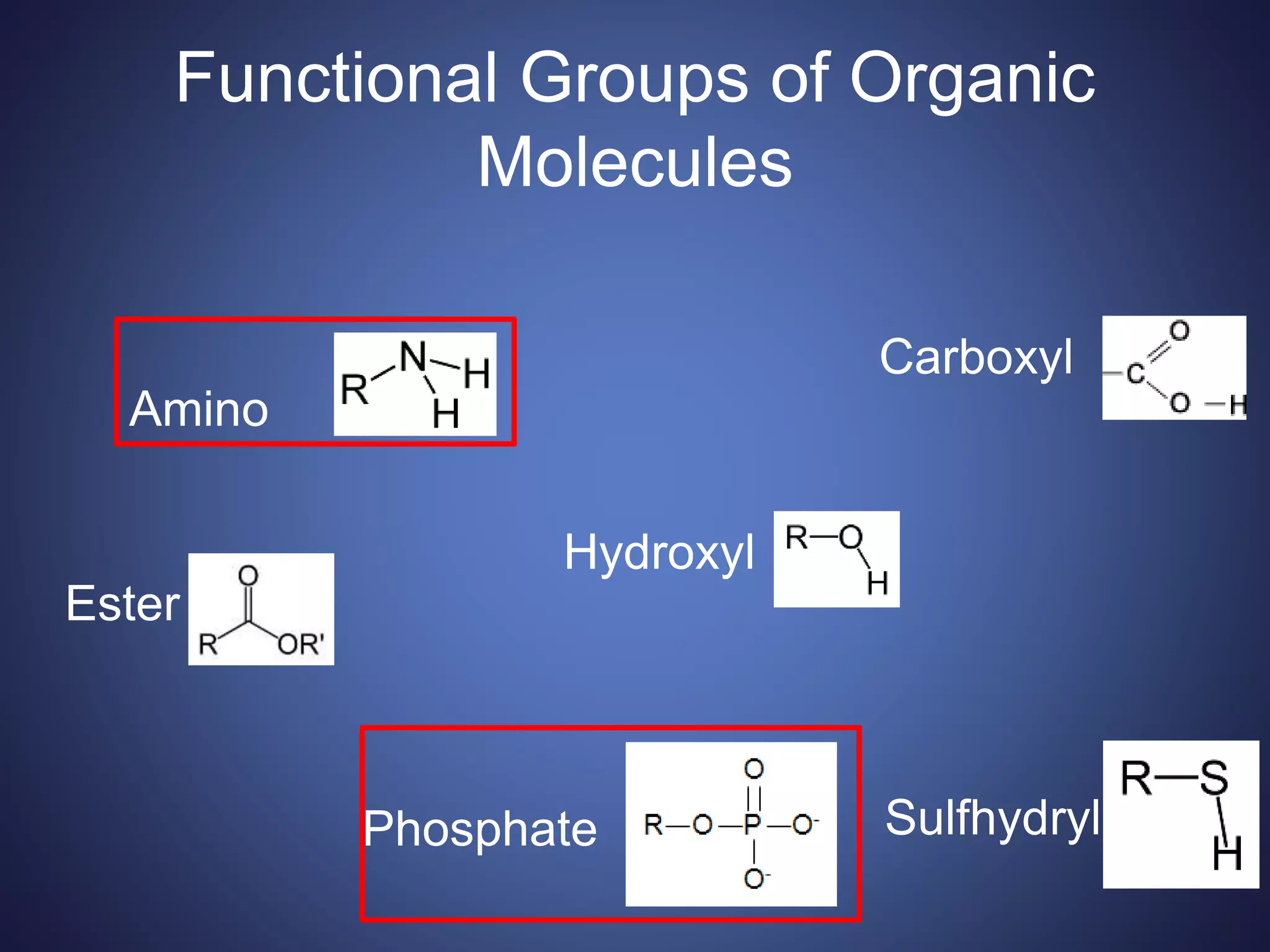 3. biological macromolecules, bio 101 | PPTX
