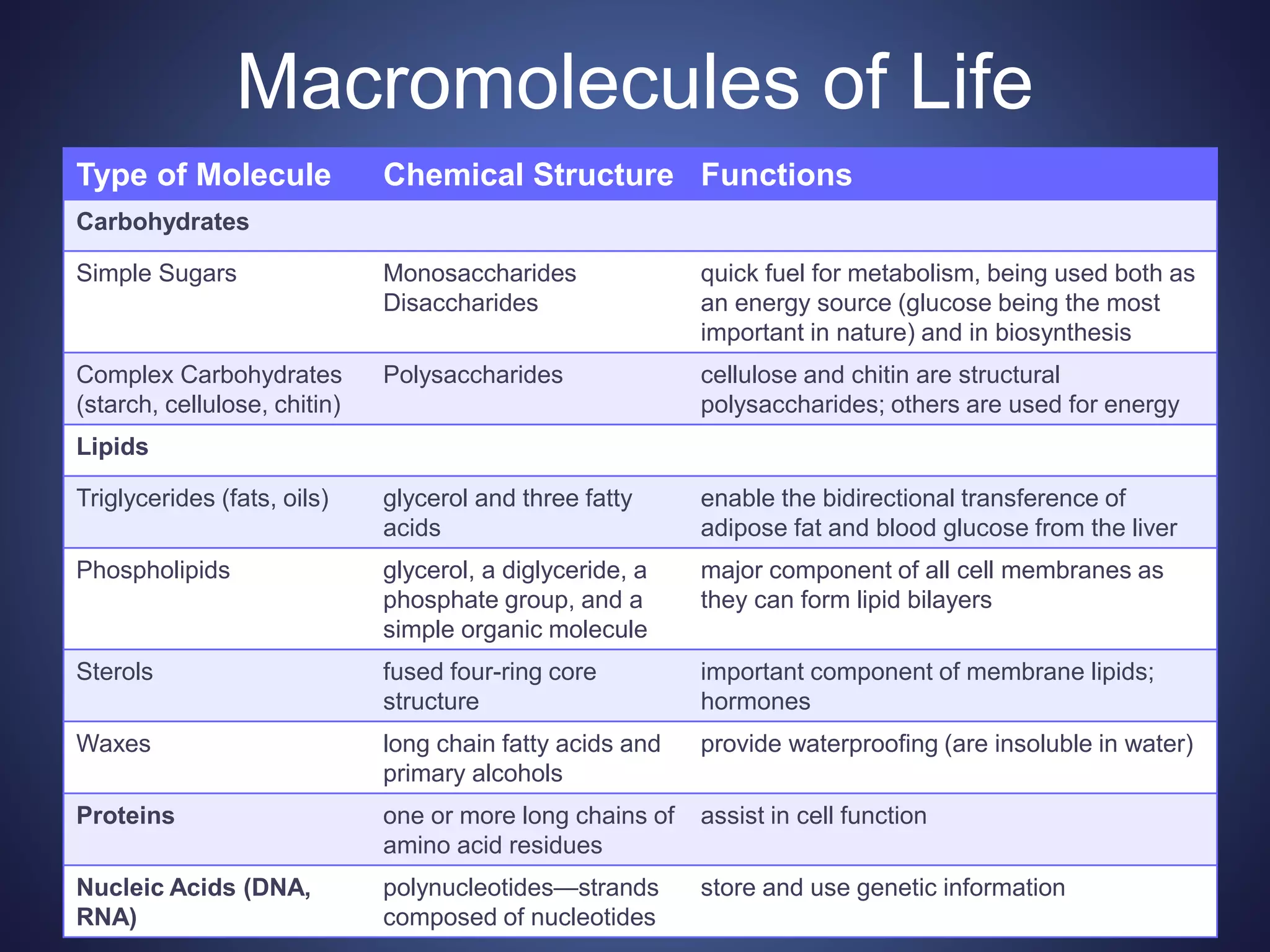 3. biological macromolecules, bio 101 | PPTX