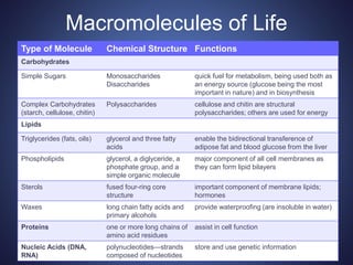 3. biological macromolecules, bio 101 | PPTX
