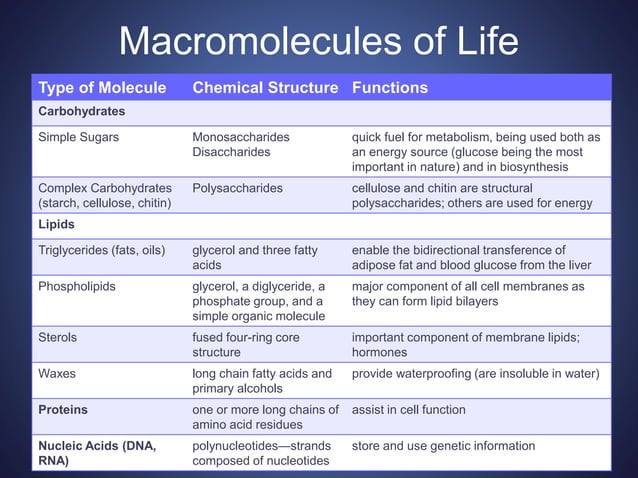 3. biological macromolecules, bio 101 | PPTX