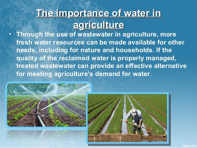 Water PT water-pt