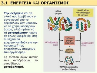 3.1 ενεργεια και οργανισμοι | PPTX