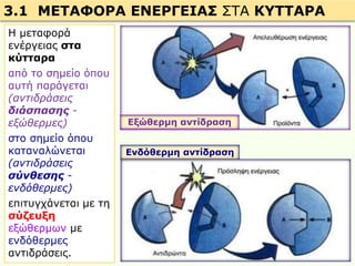 3.1 ενεργεια και οργανισμοι | PPTX