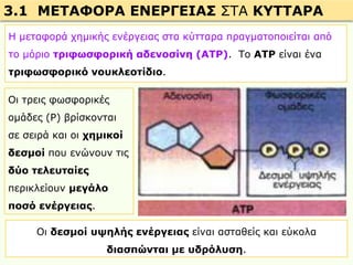 3.1 ενεργεια και οργανισμοι | PPTX
