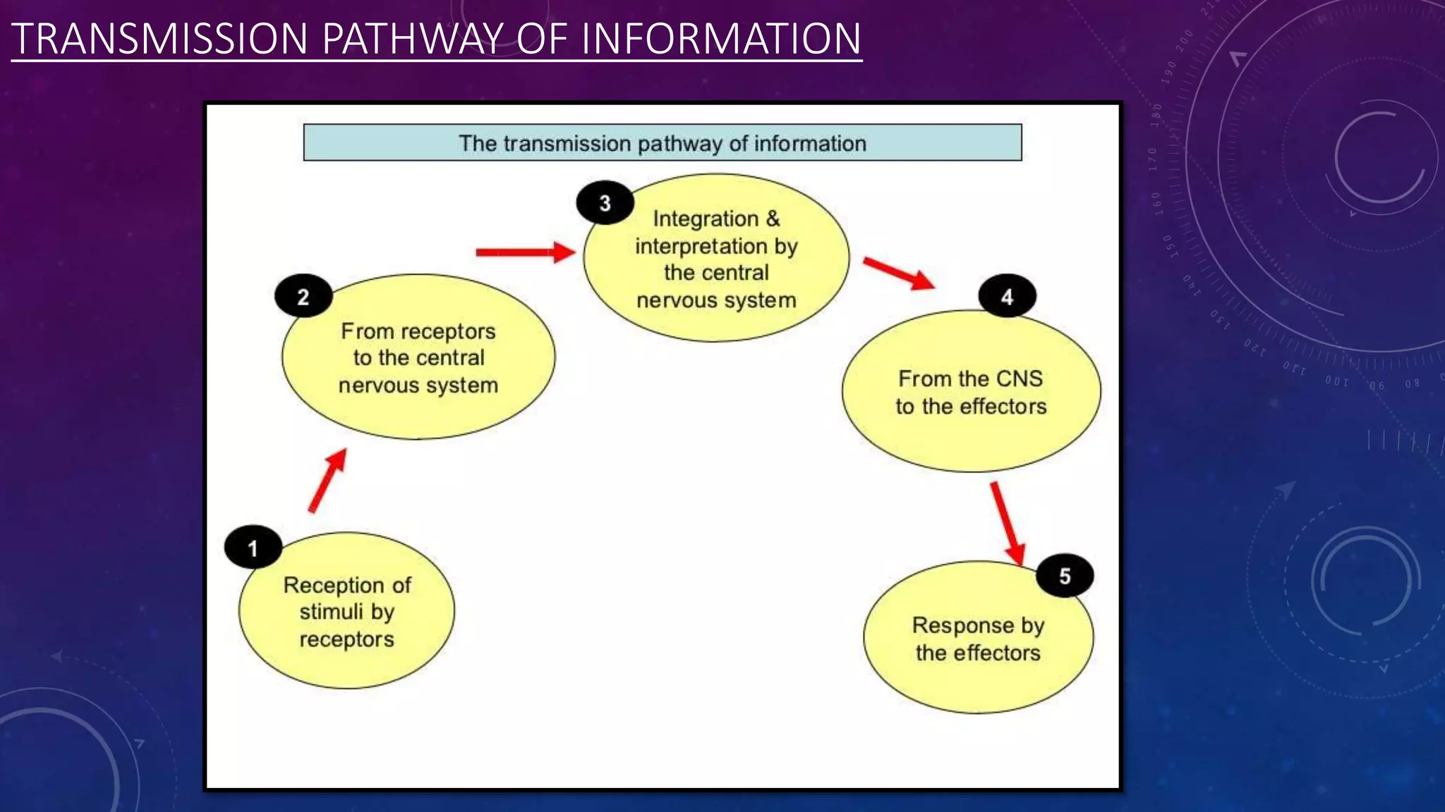3.2 part 2 by group mighty chondrion ( 5 curie) | PPT