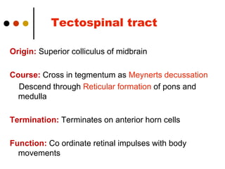 3.descending tracts kjg | PDF