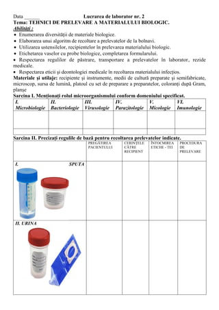3.3 lucrarea de laborator nr. 2 | PDF