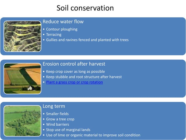3.4. soil systempptx Ajay Sharma IB DP/IGCSE ESS/Geo | PPT