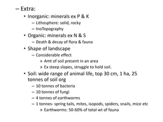3.4. soil systempptx Ajay Sharma IB DP/IGCSE ESS/Geo | PPTX