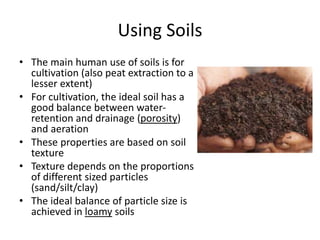 3.4. soil systempptx Ajay Sharma IB DP/IGCSE ESS/Geo | PPT