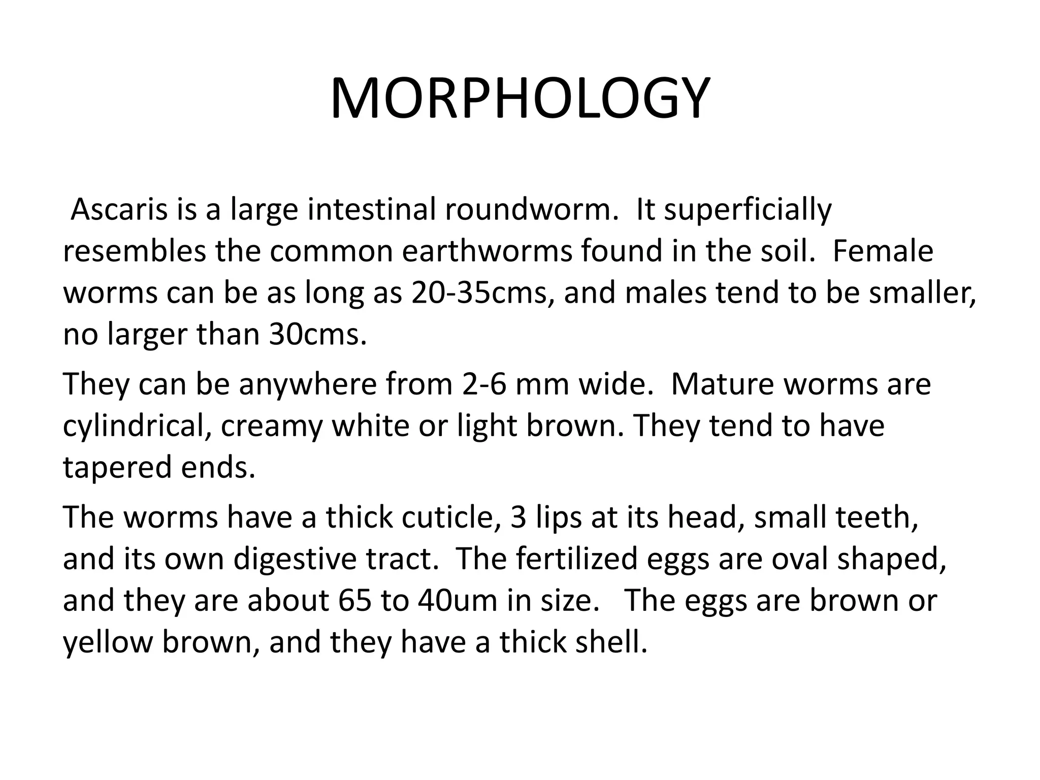 ascaris lumbricoids | PPTX
