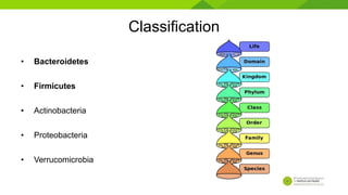 Diet, Microbiota and Metabolic Health by Renée Wilson | PPTX