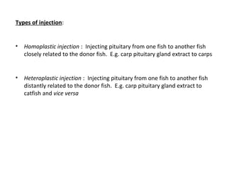 Fish Pituitary Gland | PPT