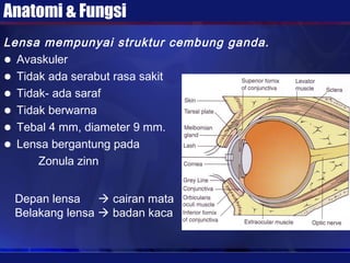 3. lensa | PPT