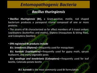 Biopesticide | PPTX