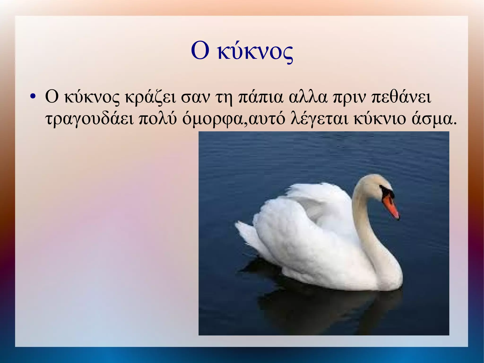 3 Ζωα | PPT