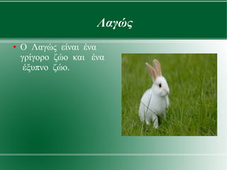 Τα αγαπημένα μου ζώα | PPT