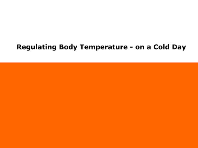Biology Form 5 Chapter 3 - Coordination & Response Part 5 - Body ...