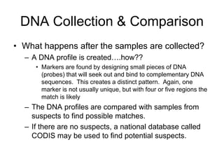 DNA in forensics | PPTX