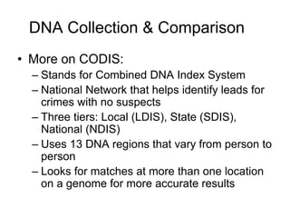 DNA in forensics | PPTX