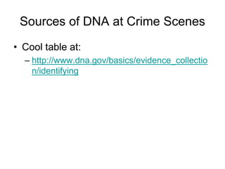 DNA in forensics | PPTX