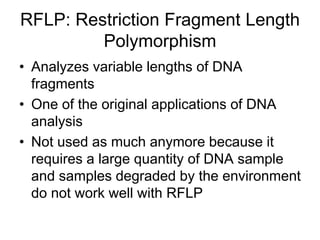 DNA in forensics | PPTX