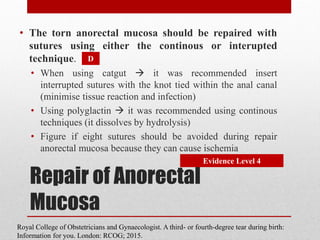 Steps of Repairing Total Perineal Rupture: Evidenced-based | PDF