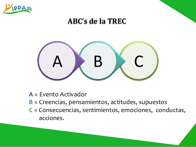 3.1 Bases teóricas trec