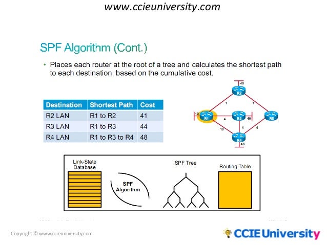 exploring routing protocols on cisco nexus switches