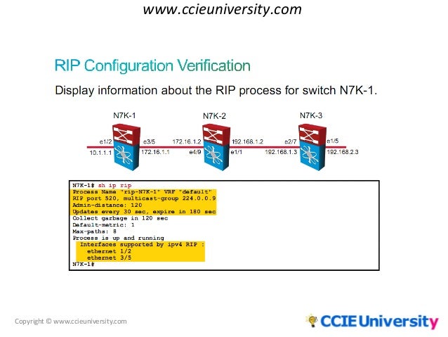 exploring routing protocols on cisco nexus switches