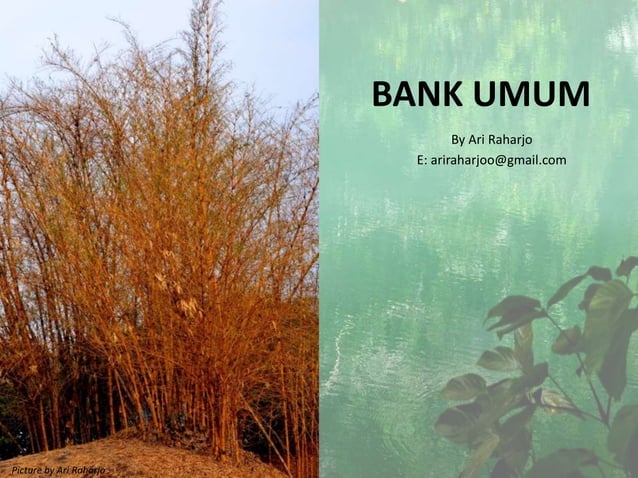 Bank Umum | PPTX