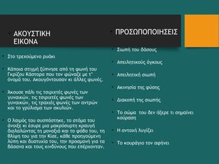 White fung Aσπροδόντης | PPT