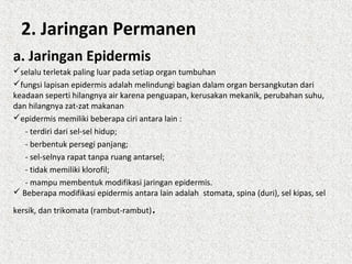 3. pertemuan-3-struktur-dan-fungsi-jaringan-tumbuhan | PPT