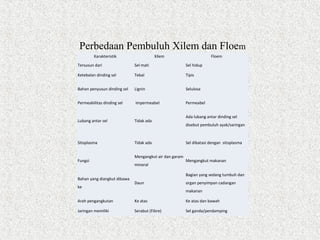 3. pertemuan-3-struktur-dan-fungsi-jaringan-tumbuhan | PPT