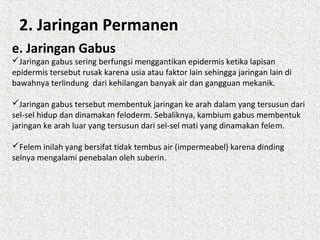 3. pertemuan-3-struktur-dan-fungsi-jaringan-tumbuhan | PPT
