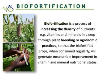 Role of Biofortification as Part of a More Diverse Diet in Africa ...