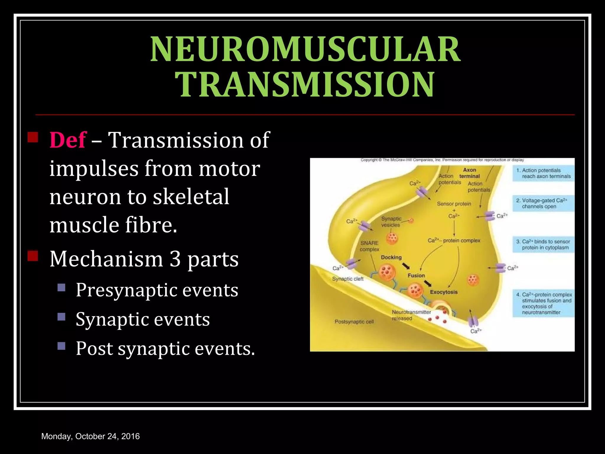 NEUROMUSCULAR JUNCTION | PPT
