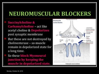NEUROMUSCULAR JUNCTION | PPT