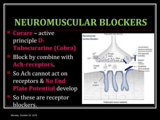 Neuromuscular Junction Flow Chart