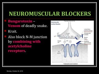 Neuromuscular Junction Steps Diagram