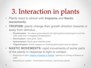 3. plants | PPTX | Infertility | Reproductive Health