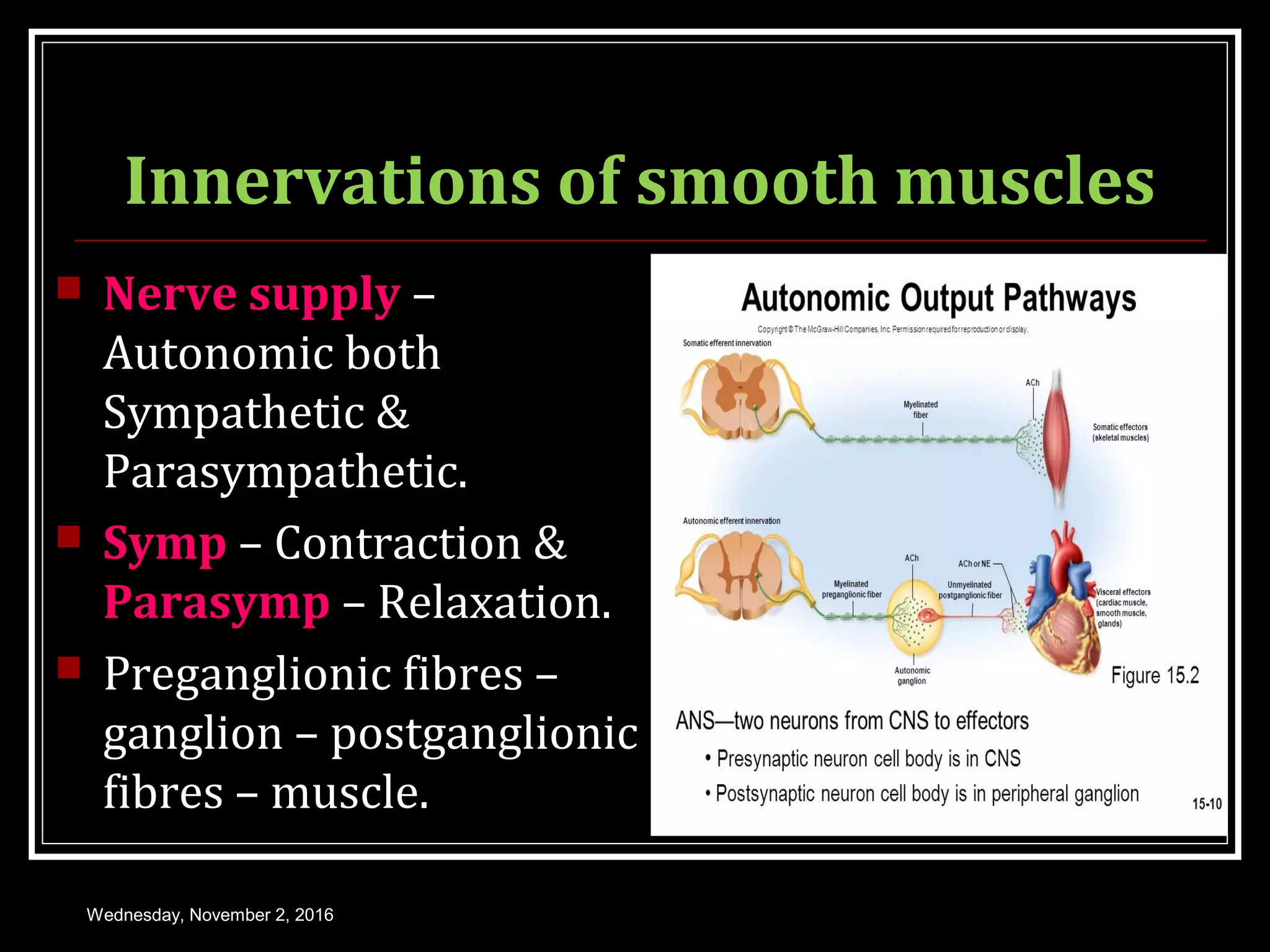 3.9 SMOOTH MUSCLE PHYSIOLOGY | PPT
